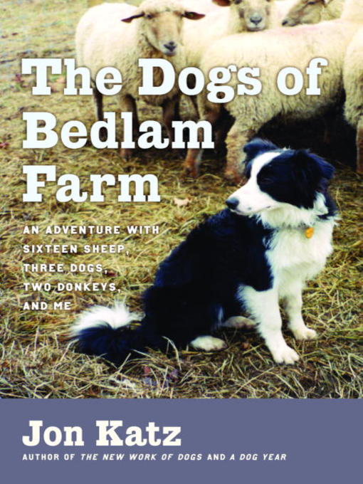 Libby - The Dogs of Bedlam Farm