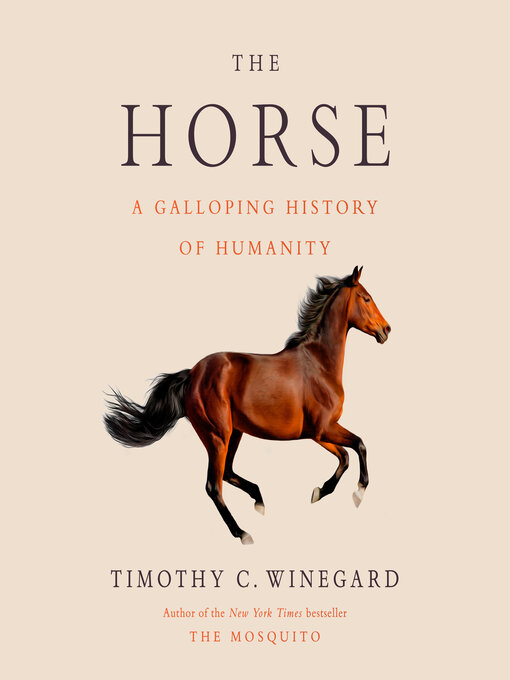 Libby - The Horse