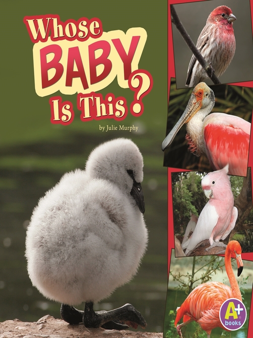 Whose Baby Is This? - NLB - OverDrive