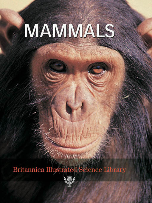 Kids - Britannica Illustrated Science Library: Mammals - Greater ...
