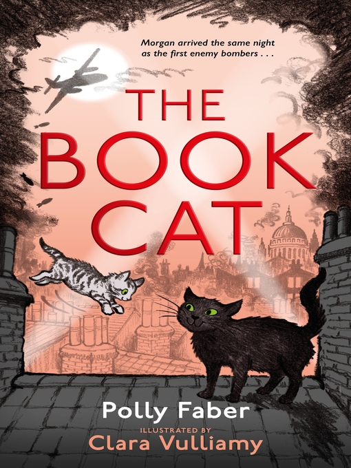 Libby - The Book Cat
