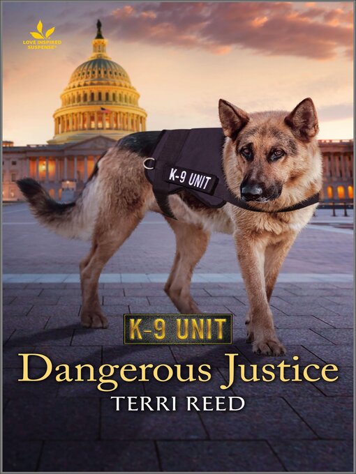 Dangerous Justice - The Ohio Digital Library - OverDrive