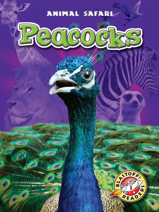 Libby - Peacocks