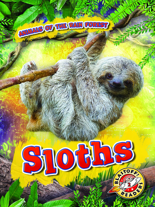 Libby - Sloths