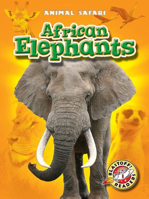 Libby - African Elephants