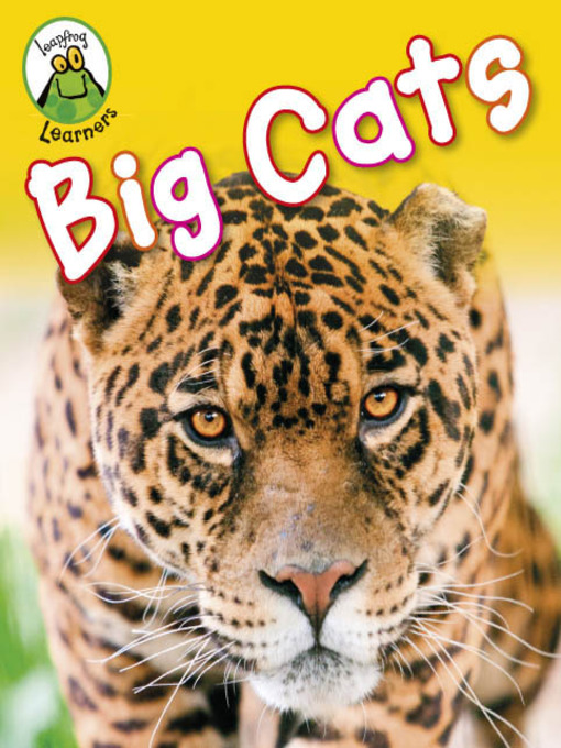 Libby - Big Cats