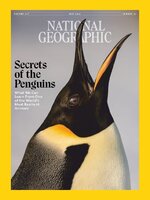 Magazines - National Geographic Magazine - Up North Digital Collection ...